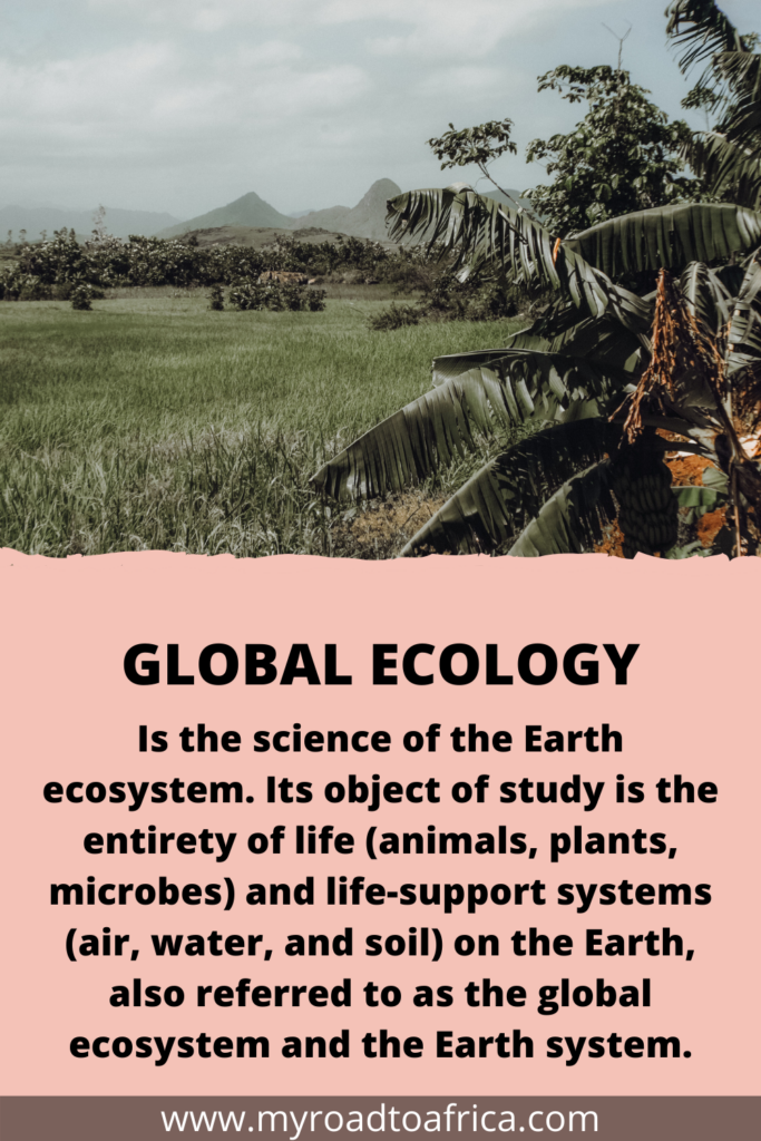 Ecology Explained in Less Than 200 Characters - ourroadtonature