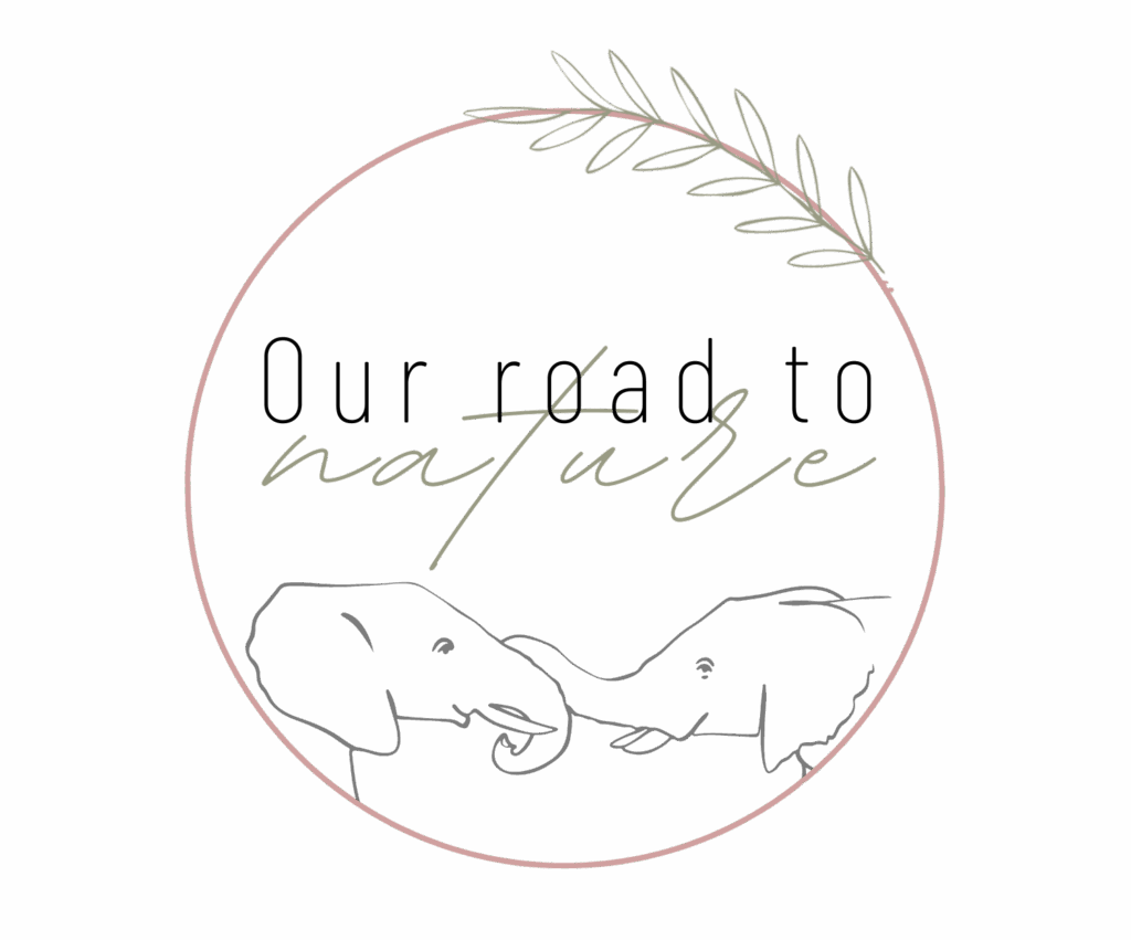 The Benefits of Wildfires for Ecosystems - ourroadtonature