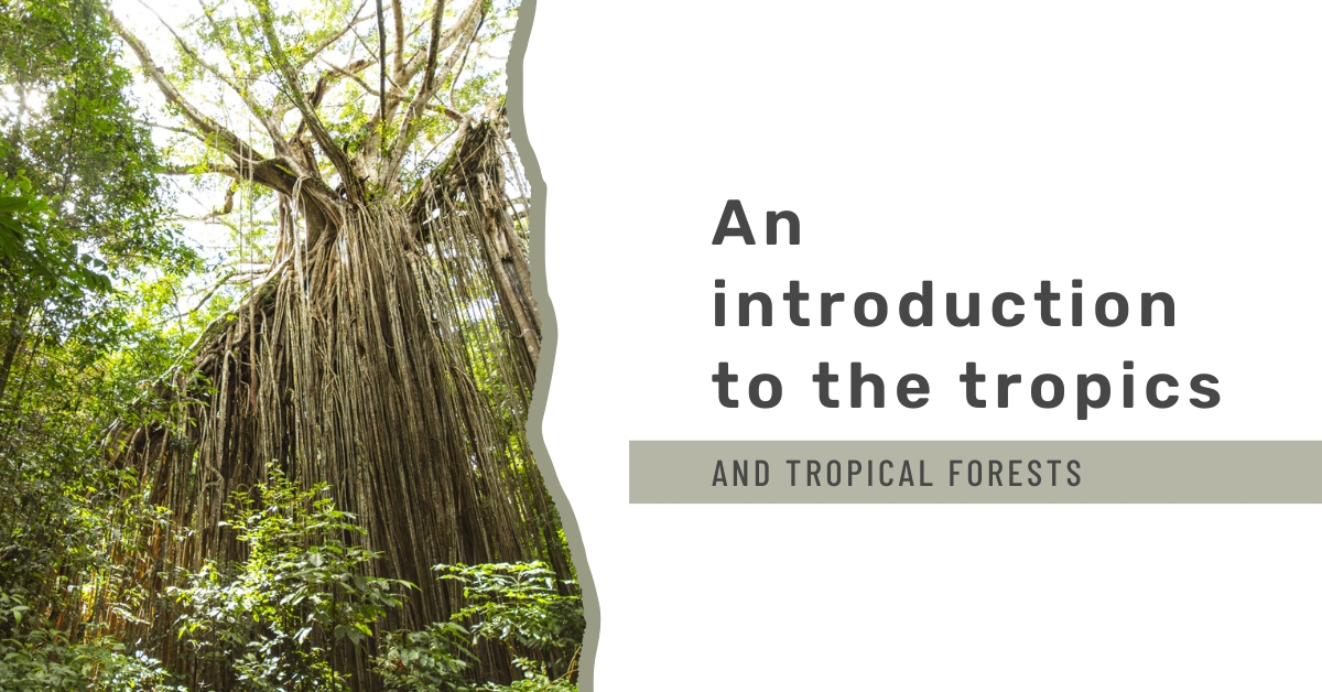 An Introduction to The Tropics and Tropical Forests - ourroadtonature